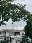Ghana health service (King Tackie Avenue No:51), i̇ş güvenliği  Akra'dan