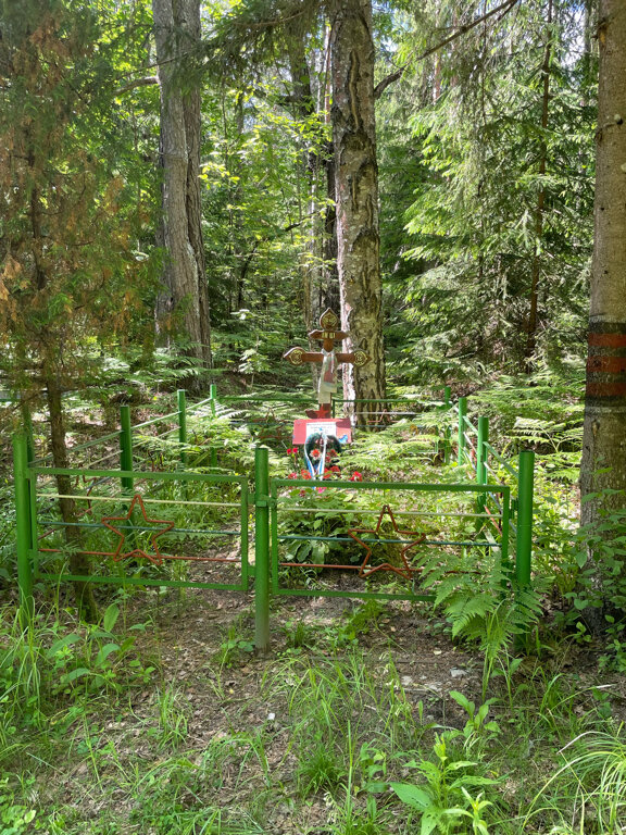 Anıt, heykel Памятник, Brianskaya oblastı, foto