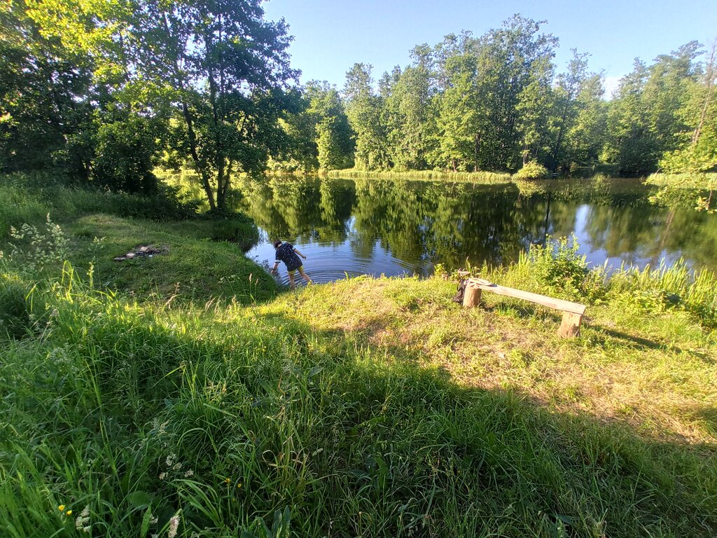 Piknik alanı Прусов пляж, Vladimirskaya oblastı, foto