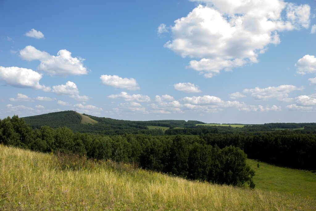 Dağ zirvesi Буготакские сопки, Novosibirskaya oblastı, foto