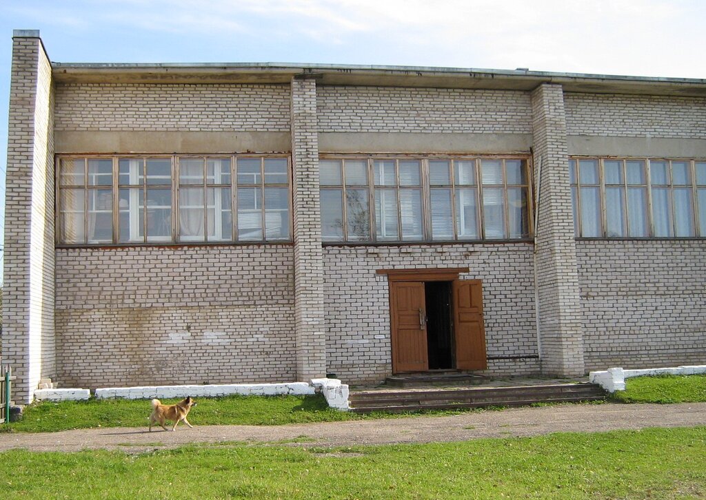 Kütüphaneler Dvorishchenskaya rural library, Novgorodskaya oblastı, foto