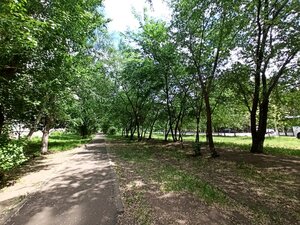 Сквер Дружбы (gorodskoy okrug Voronezh, Kominternovskiy District, skver Druzhby), meydan  Voronej'den