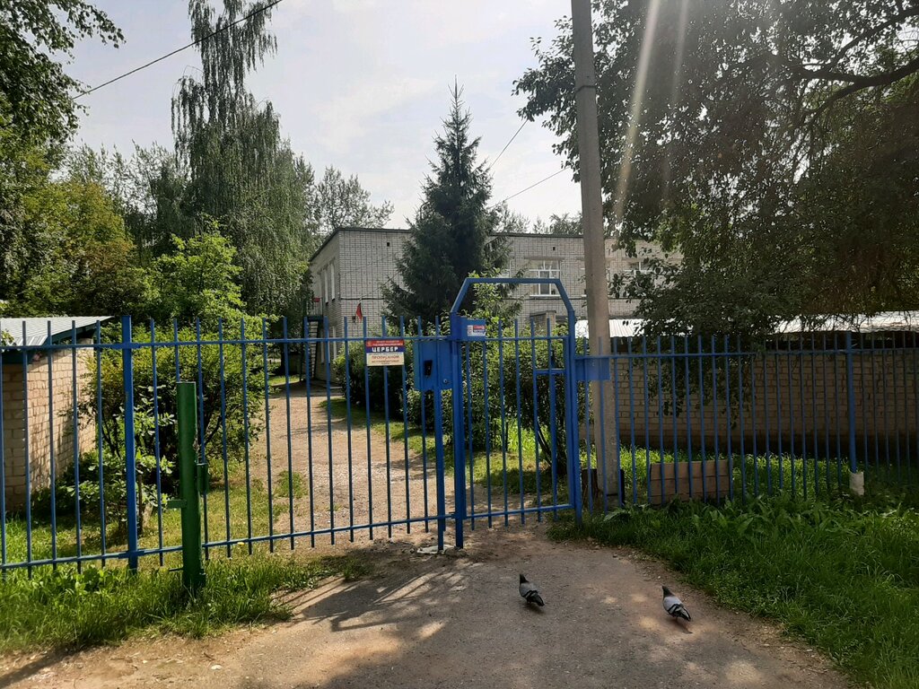Anaokulları MADOU Detskij sad №11, Krasnokamsk, foto