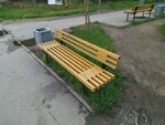Bench (Leningrad Region, Vsevolozhckiy DIstrict, Zanevskoye gorodskoye poseleniye, Kudrovo, lesopark Beryozovaya Roshcha), bank