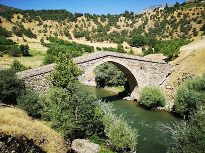 Turistik yerler Tarihi Kemerli Taş Köprüsü, Şemdinli, foto