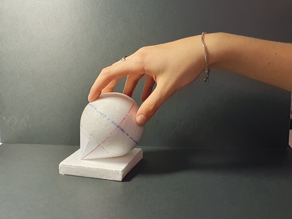 Özel ders hizmetleri 3h Studio, Moskova, foto