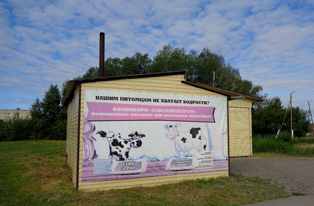 Veteriner klinikleri Айболит, Kurganskaya oblastı, foto