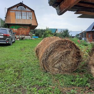 Horoshiloff Apartment (Vinogradnaya ulitsa No:2), otel  Belokuriha'dan