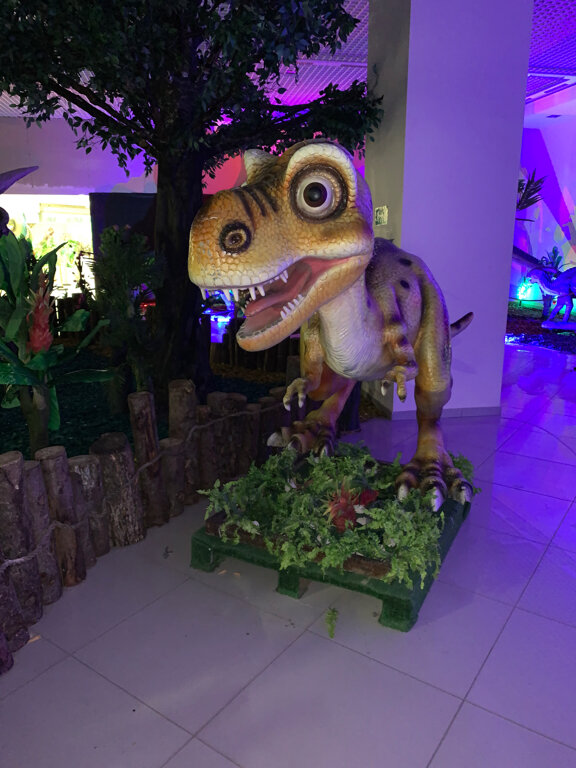 Oyun odası Dinopark Rex, Voronejskaya oblastı, foto