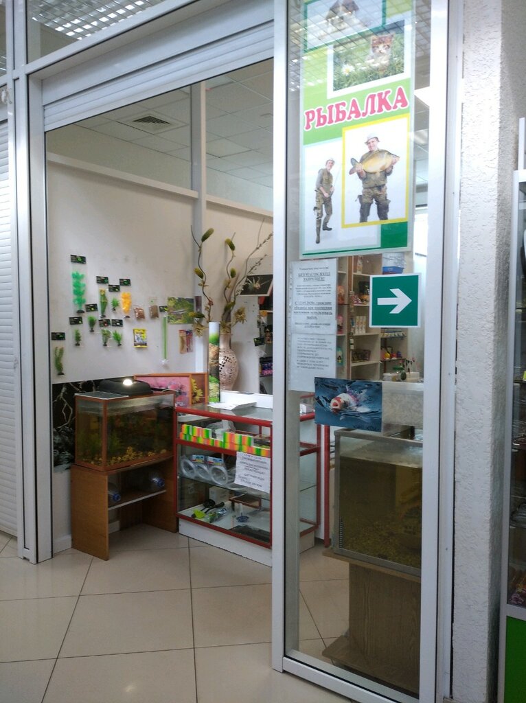 Petshop Зоомагазин, Voronej, foto