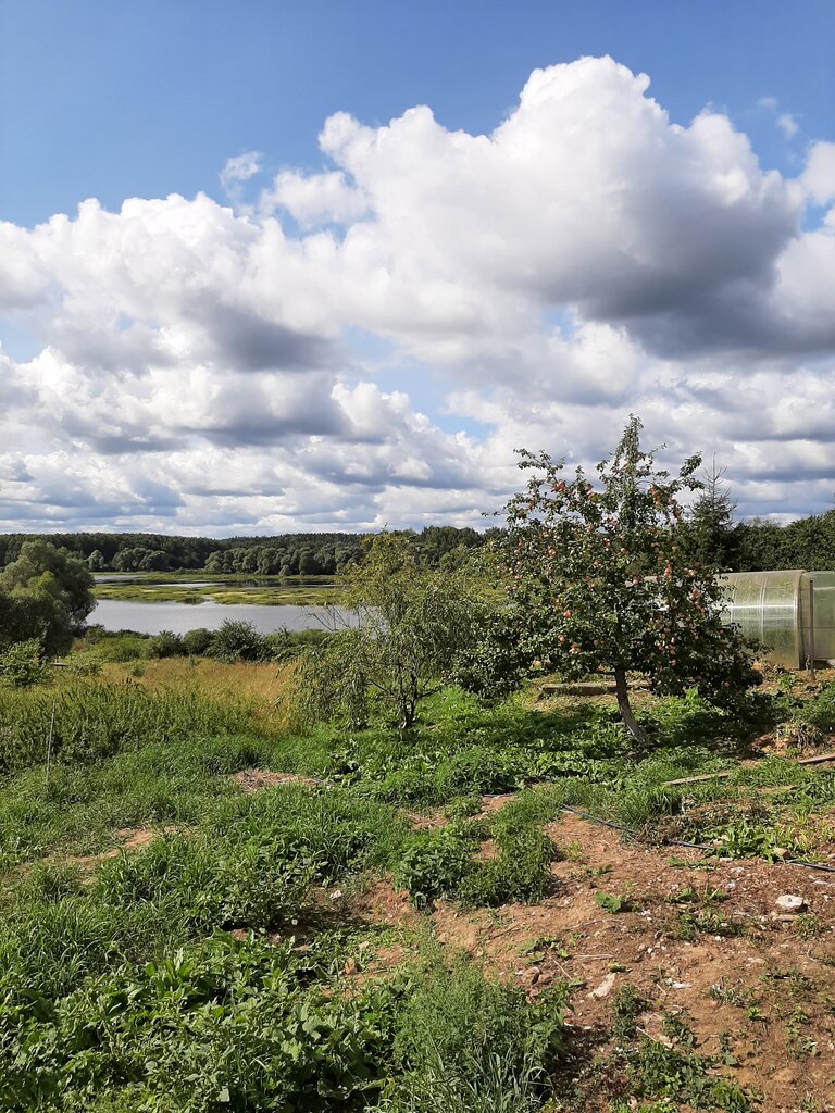 Turistik yerler Фундамент подтопленной церкви Александра Невского, Moskova ve Moskovskaya oblastı, foto