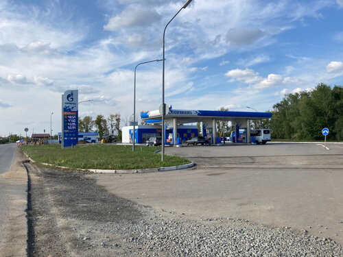 Benzin istasyonu Gazpromneft, Omskaya oblastı, foto