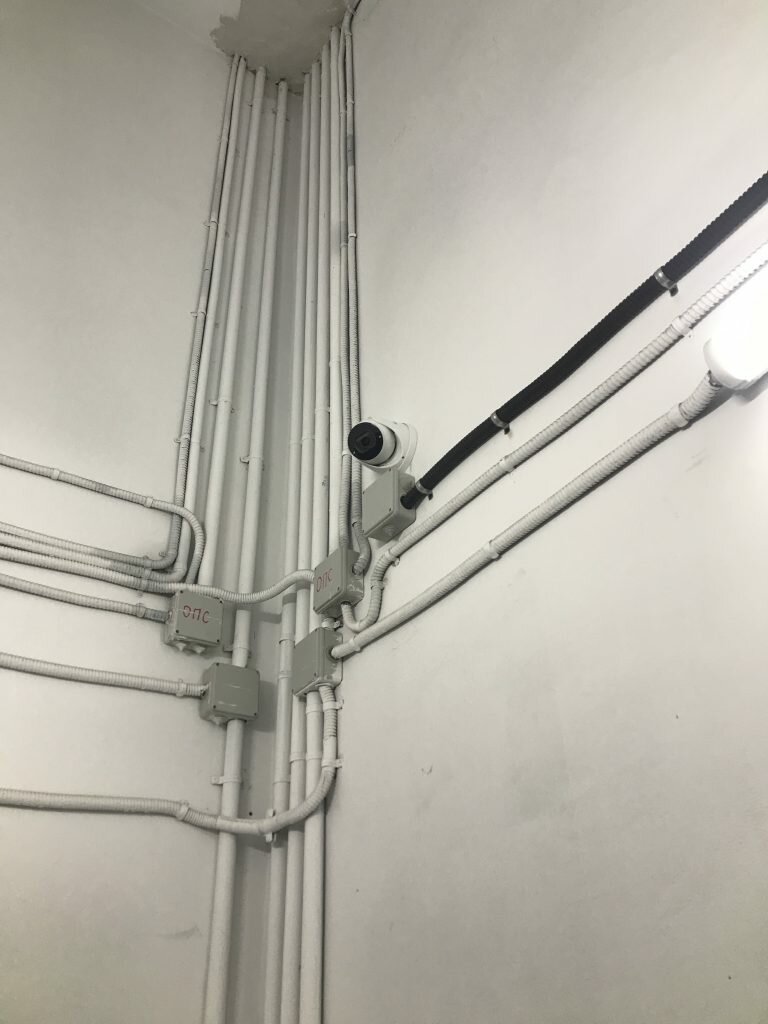 Bilişim firmaları Comeback Group, Krasnoyarsk, foto