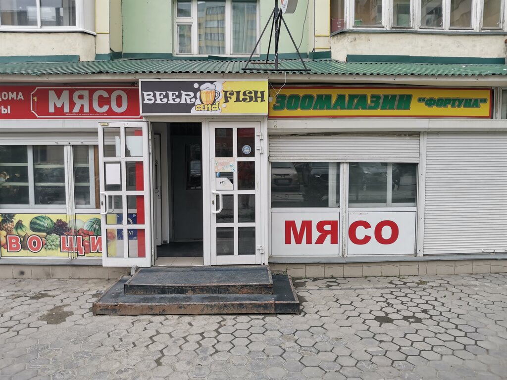 Bira dükkanı Beer and Fish, Novosibirsk, foto