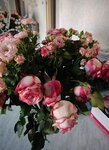 Мама Роза (ulitsa Lenina No:20), çiçekçiler  Zelenogorsk'tan