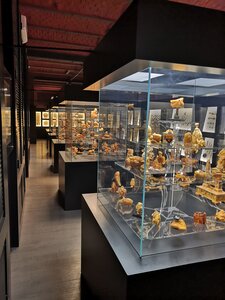 Amber Chamber (ulitsa Balebina No:1, posyolok gorodskogo tipa Yantarny), müzeler ve sanat galerileri  Kaliningradskaya oblastından