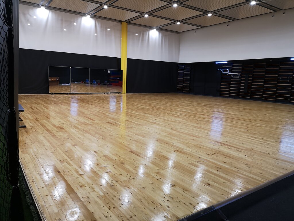 Dans okulları Школа танцев Эдельвейс, Moskova, foto