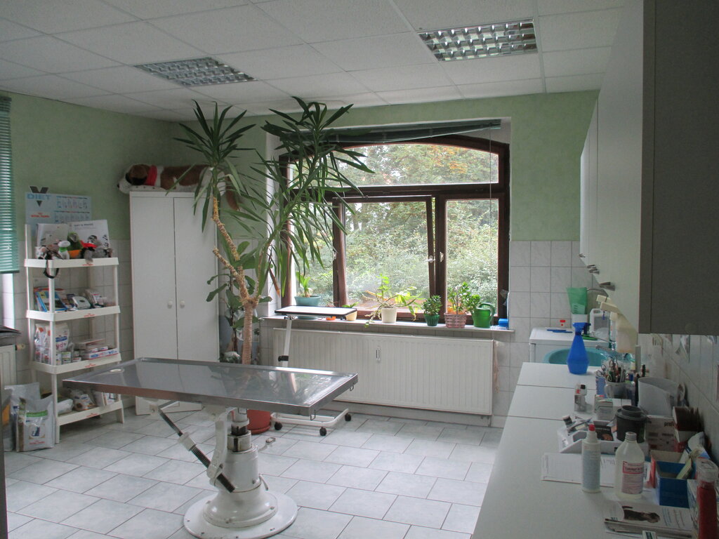 Veteriner klinikleri Tierarztpraxis Katrin Pompetzki, Saksonya, foto