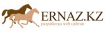 Ernaz (Qabanbay Batyr Street No:22Б), yazılım firmaları  Taldıkorgan'dan
