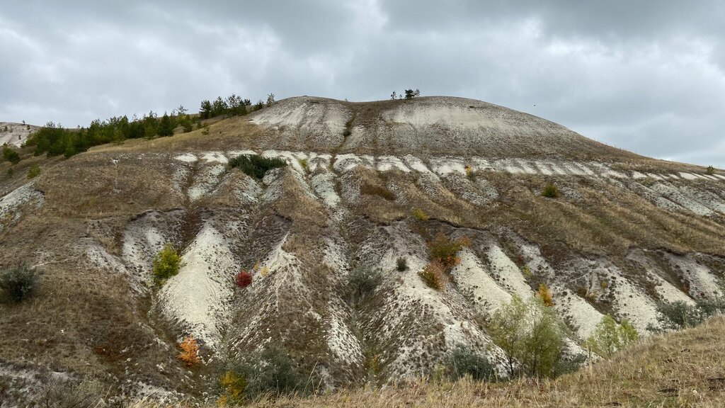 Doğa koruma alanı ФГБУ Национальный парк Сенгилеевские горы, Ulyanovsk, foto