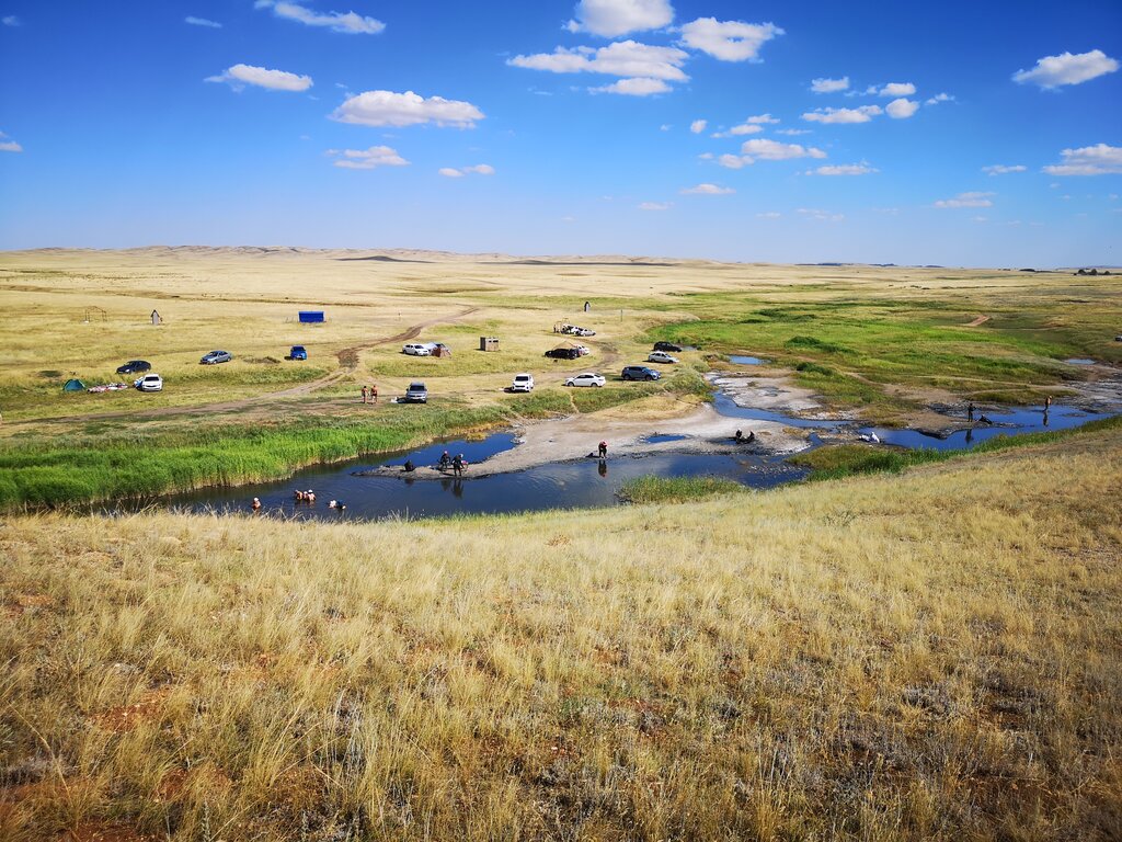 Doğa Ландшафтно-ботанический памятник природы Соленое урочище, Orenburgskaya oblastı, foto