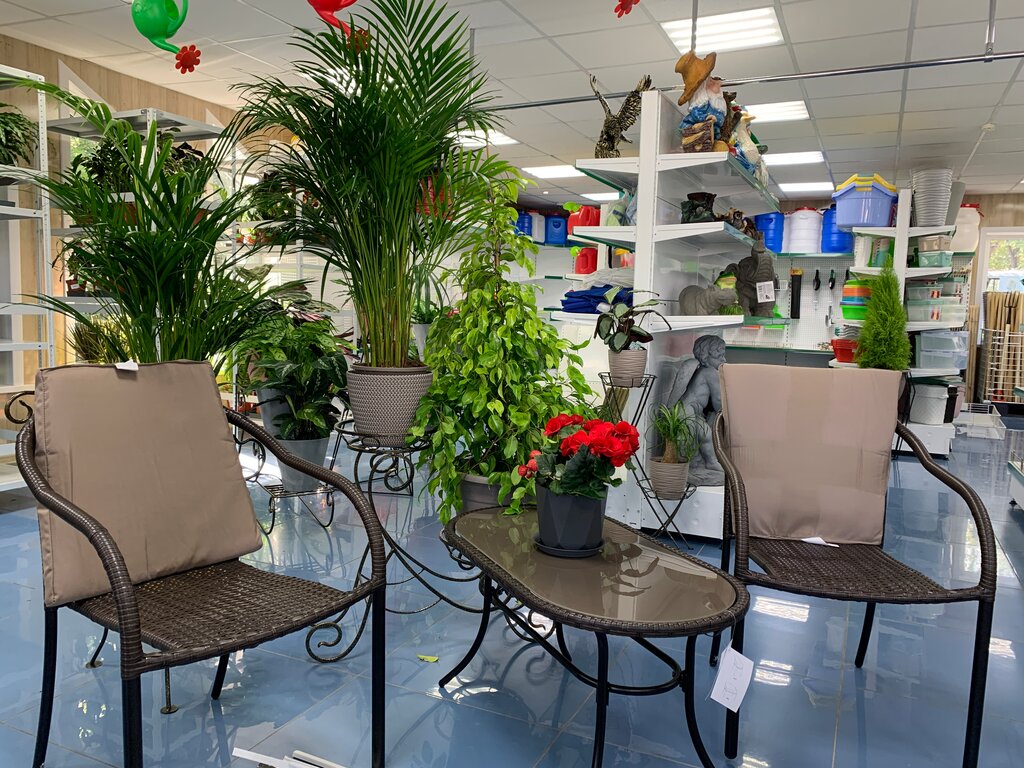 Market New Rake, İrbit, foto