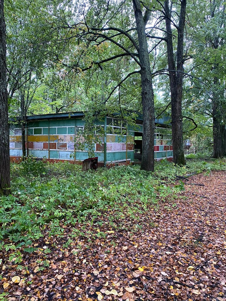 Unutulmaz olayların yeri Детский лагерь Сокол, İvanovskaya oblastı, foto