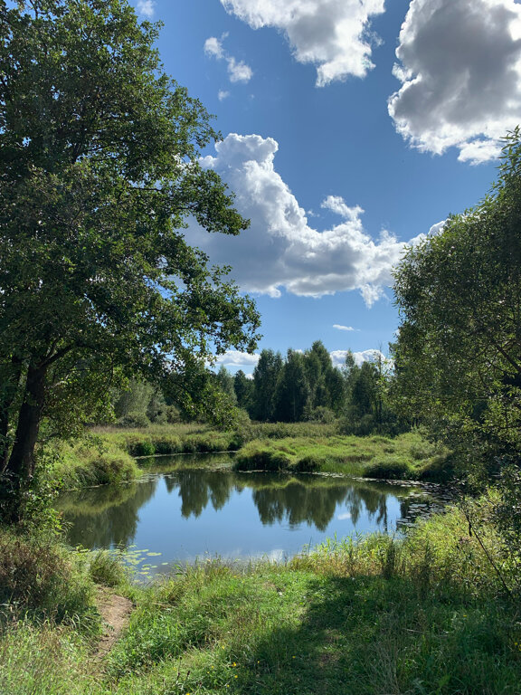 Plaj Пляж, Vladimirskaya oblastı, foto