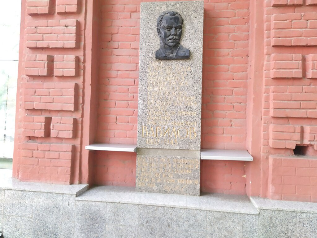 Anıt levhası, anıt taş Здание эвакогоспиталя № 1056, Saratov, foto