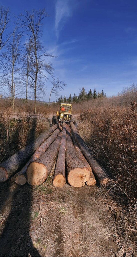 Kerestecilik Vizovická lesní S. R. O., Zlin Bölgesi, foto