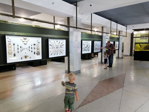 Müzeler ve sanat galerileri Museum of Insects Ekzotarium, Pyatigorsk, foto