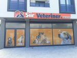 Şiir Veteriner Kliniği (Yeşilyurt Mah., Yuvacık 17 Ağustos Blv., No:30, Başiskele, Kocaeli), veteriner klinikleri  Başiskele'den