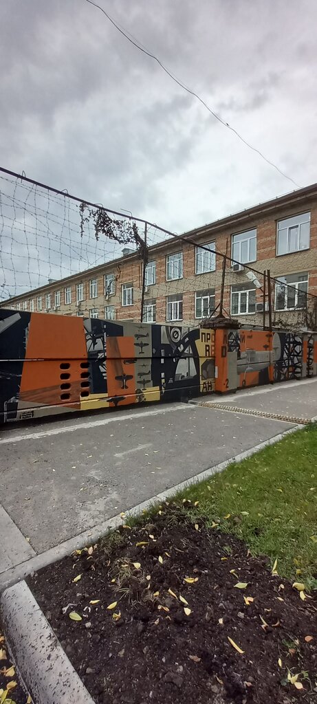 Sokak sanatı Граффити Ан-2, Novosibirsk, foto