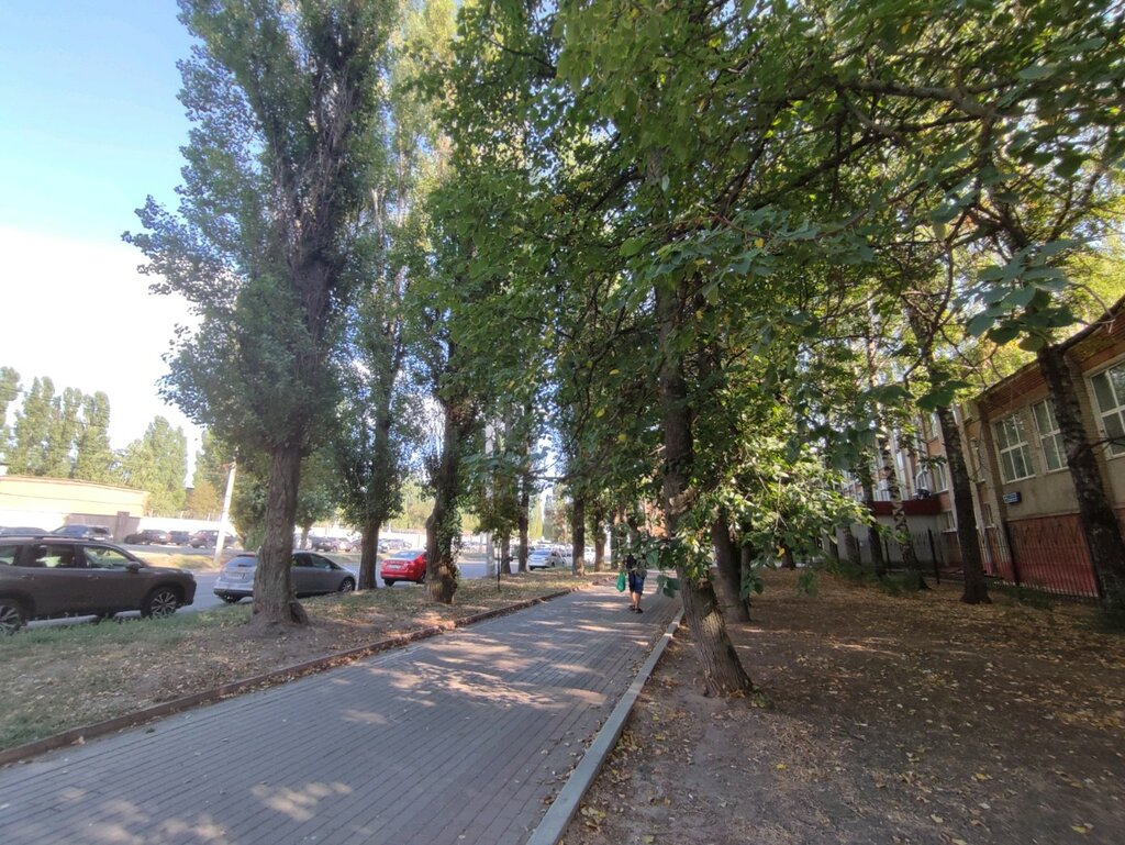 Kültür ve eğlence parkları Медицинский сквер, Voronej, foto