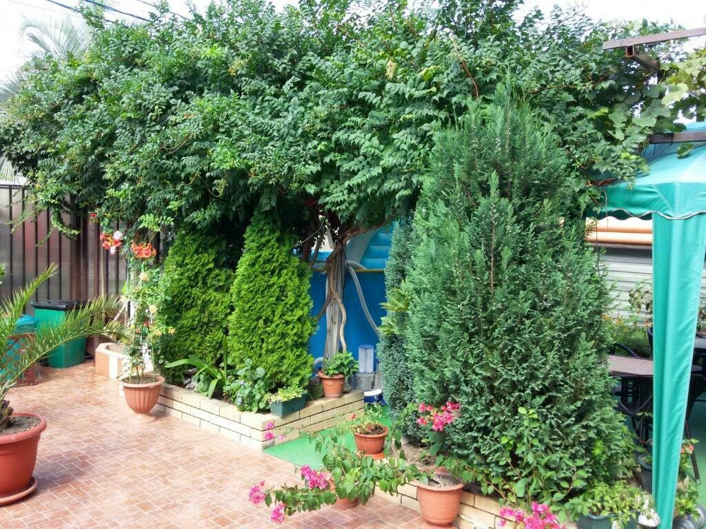 Konuk evi AdlerOK, Soçi, foto