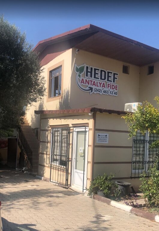 Sera ve bahçe ürünleri Hedef Antalya Fide Üretim, Antalya, foto