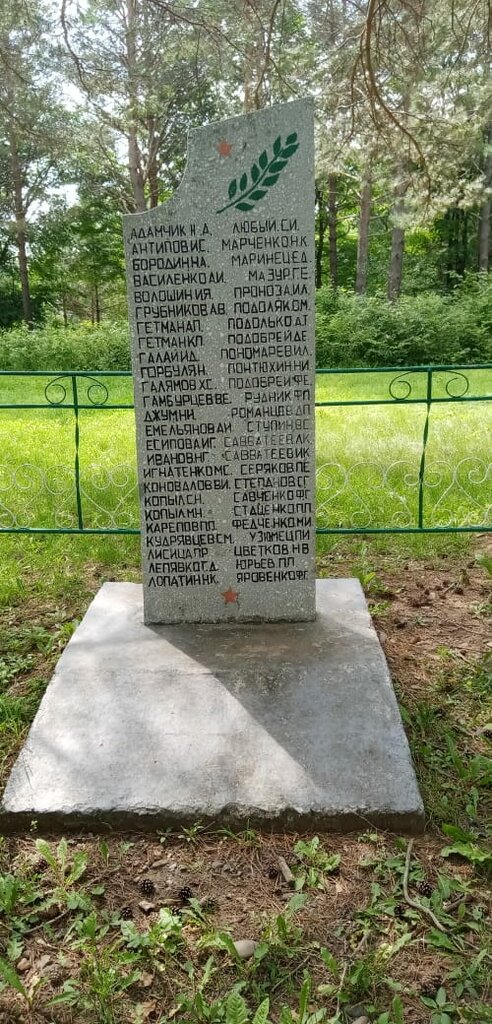 Anıt, heykel Воинам-односельчанам, павшим в годы Великой Отечественной войны, Habarovski krayı, foto