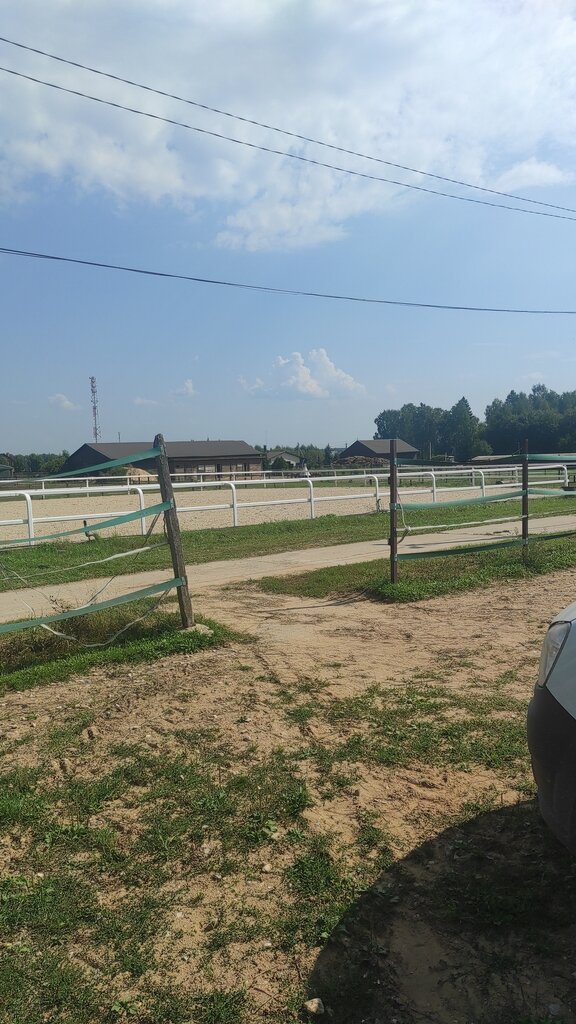 At ve binicilik kulüpleri Конюшня, Kalujskaya oblastı, foto