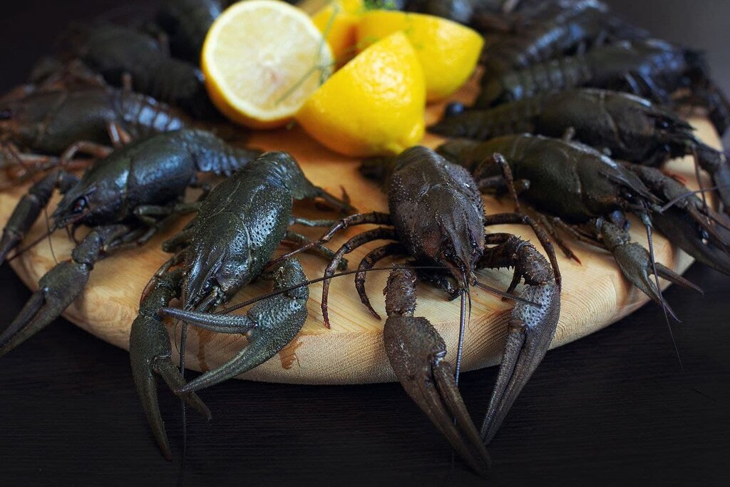 Balık ve deniz ürünleri Crayfish And Fish, Himki, foto