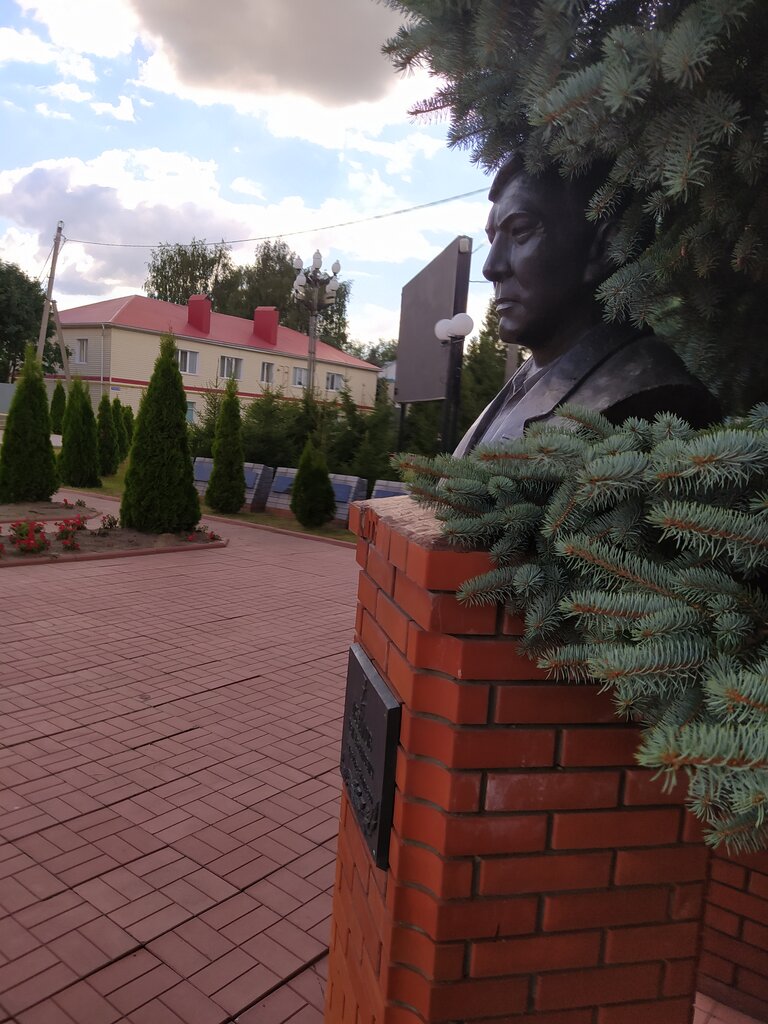 Anıt, heykel Бюст Героя Советского Союза Р.А. Абзалова, Tataristan, foto