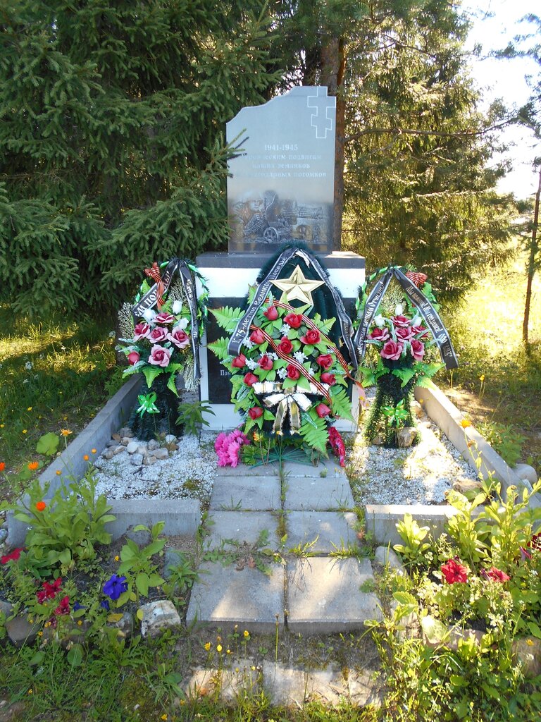 Anıt, heykel Героическим подвигам наших земляков от благодарных потомков, Vologodskaya oblastı, foto