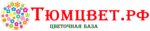Тюмцвет (ulitsa Nikolaya Semyonova No:31А), çiçekçiler  Tiumen'den