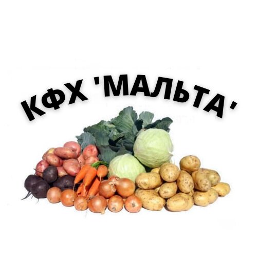 Tarım firmaları Kfh Malta, İrkutskaya oblastı, foto