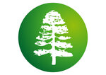 Sequoia Pressing (Marshala Vasilevskogo Street No:13к1), kuru temizlemeciler  Moskova'dan