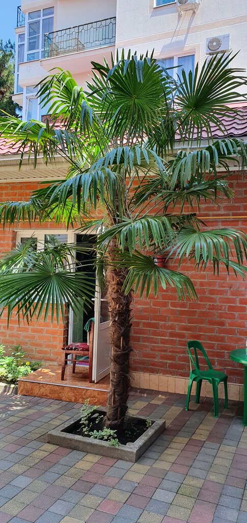 Konuk evi Gostevoy dom Yuzhny Versal, Gelencik, foto