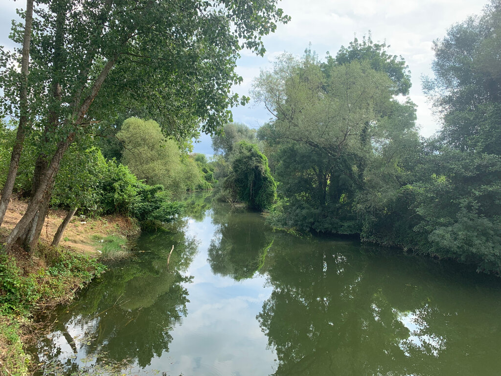 Tarım firmaları Sedef'in Çiftliği, Şile, foto