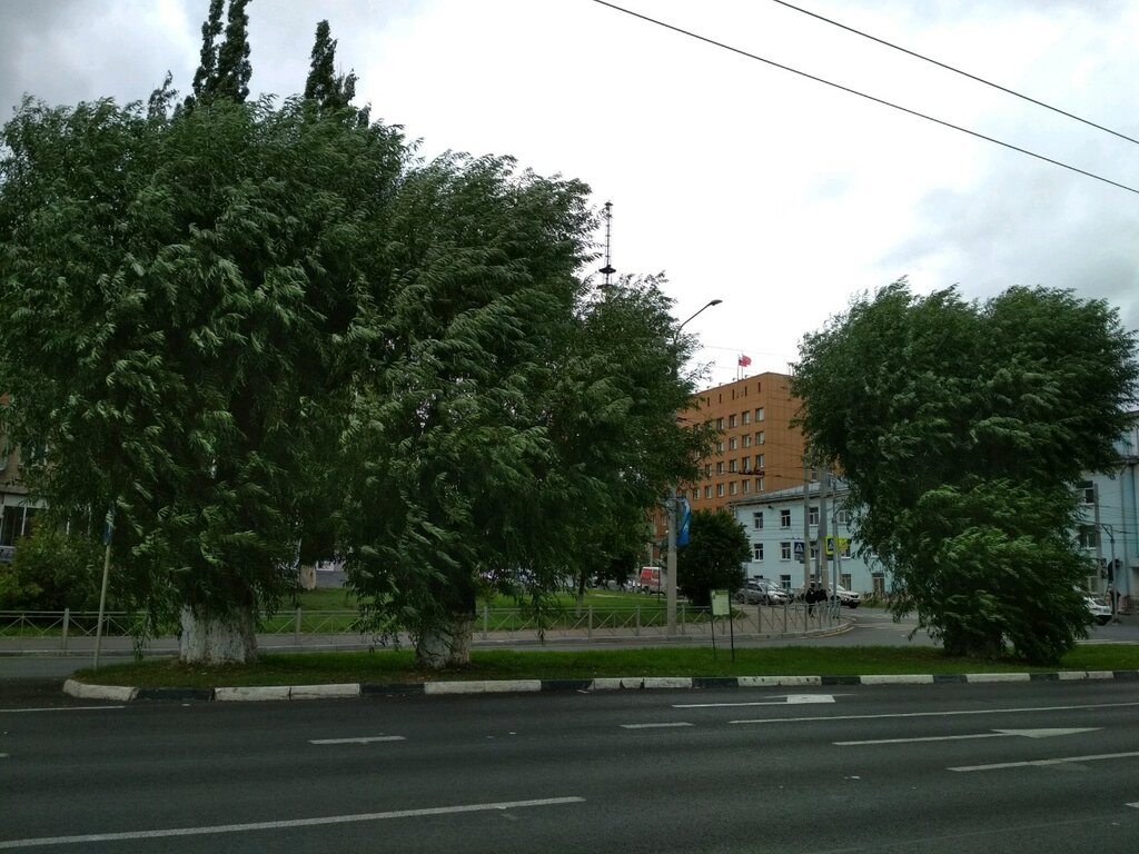 Doğa Столетние вязы, Vladimir, foto