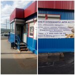 Kollektsii dlya vsekh (Generala Scherbakova Street No:11), nümismatik dükkanları  Murmansk'tan