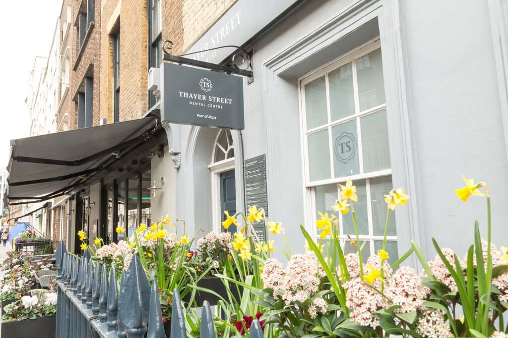 Özel ağız ve diş sağlığı klinikleri ve muayenehaneleri Thayer Street Dental Centre, Londra, foto