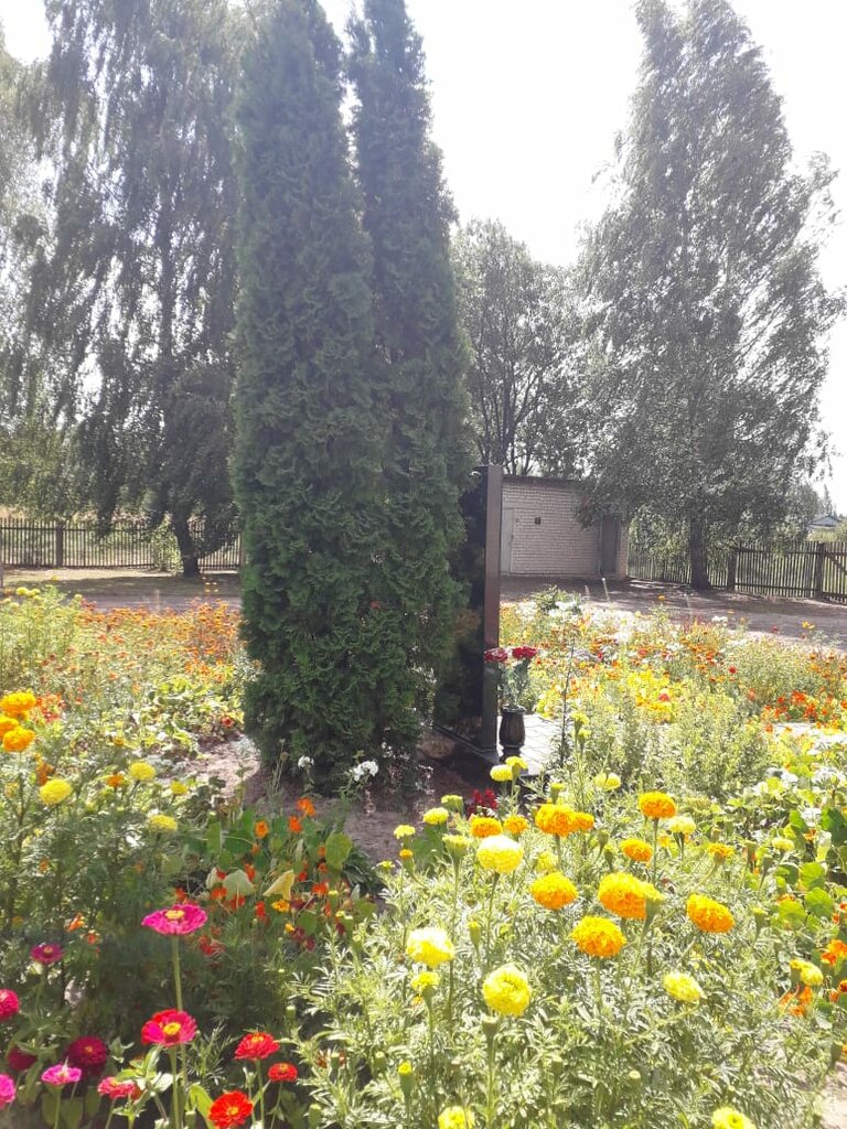 Anıt, heykel Герою Великой Отечественной войны Е.П. Новикову, Brianskaya oblastı, foto
